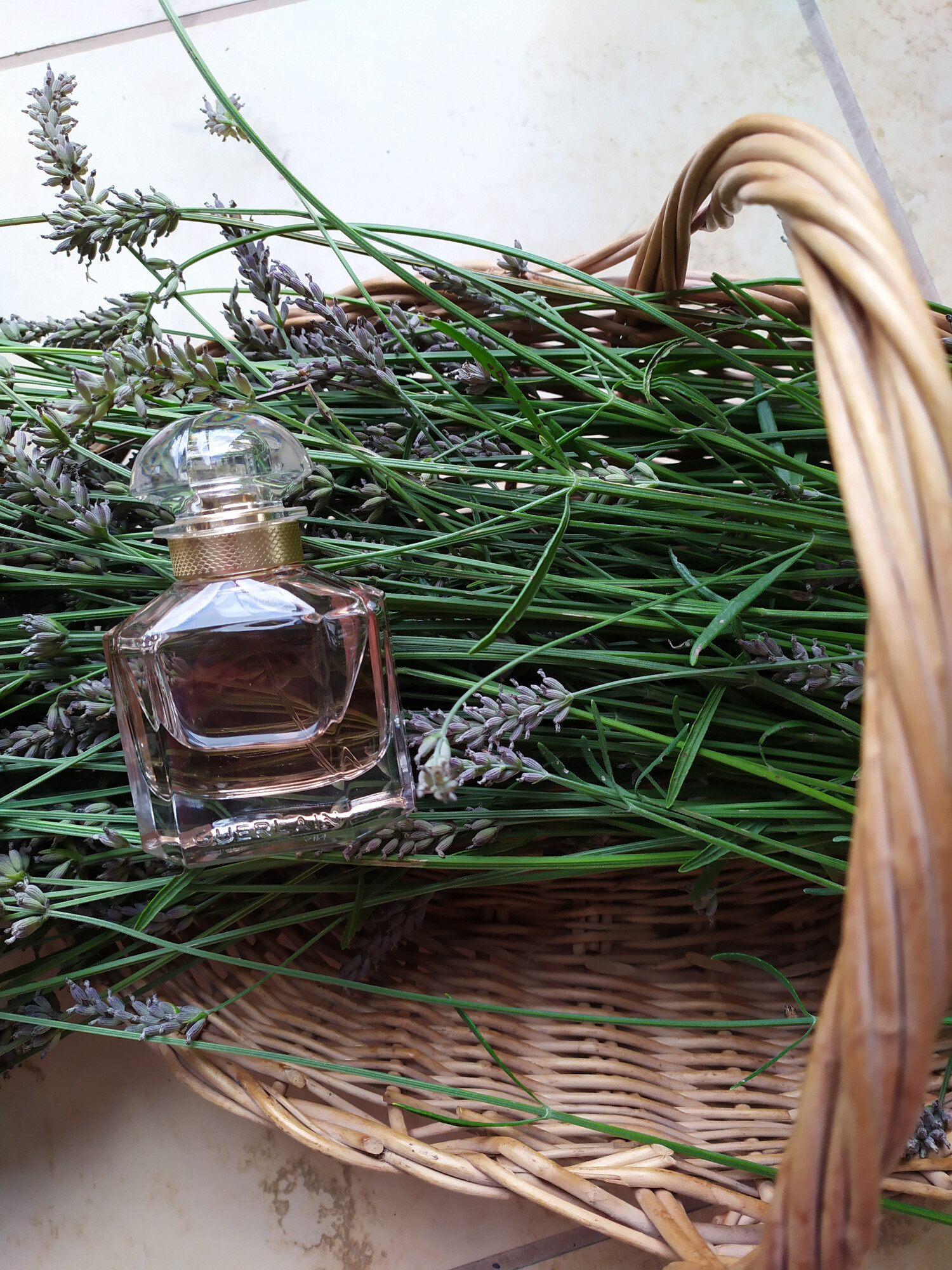 Mon Guerlain Guerlain parfum - un parfum de dama 2017
