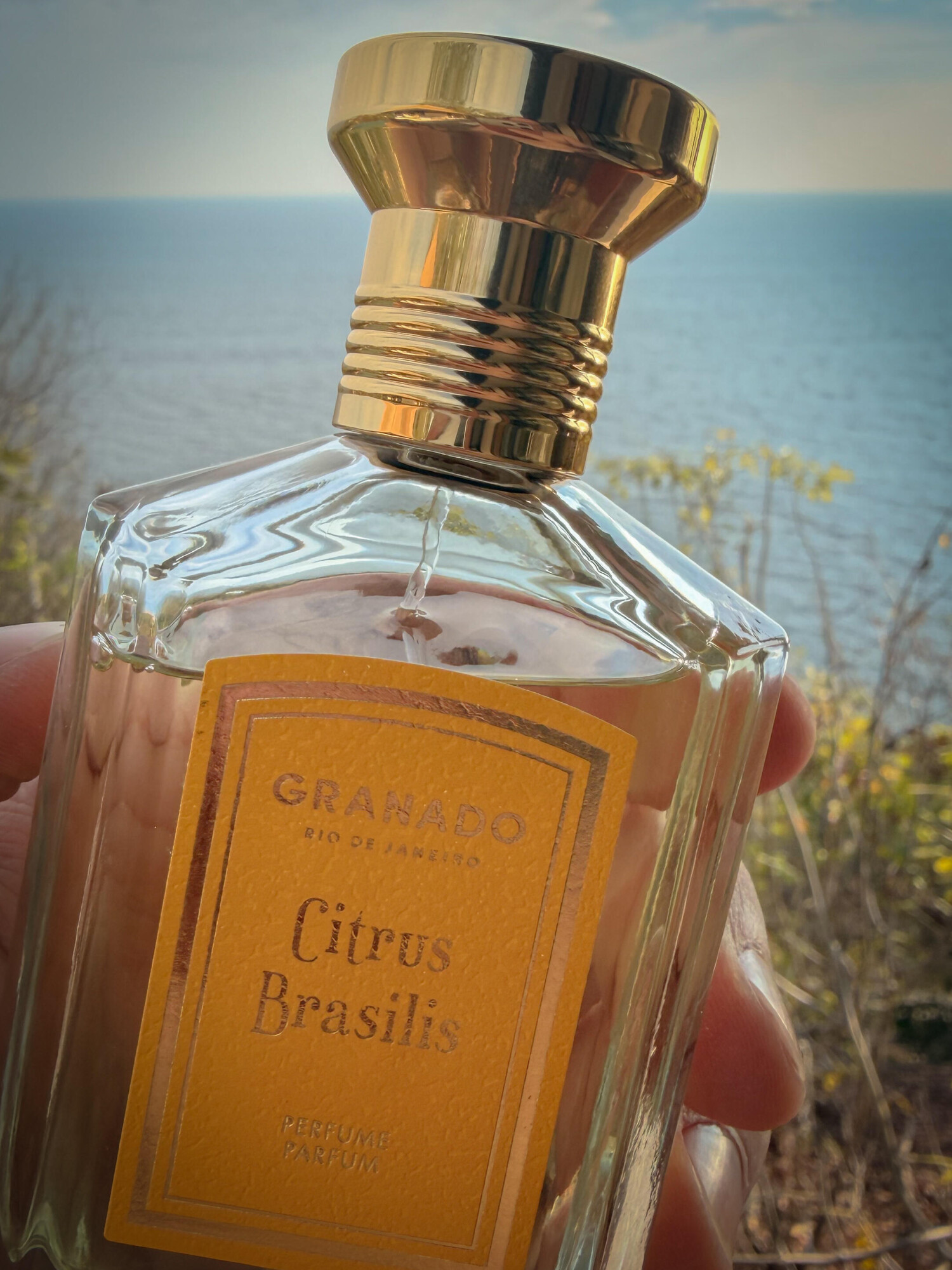 Citrus Brasilis Granado perfume - a new fragrance for women and men 2025