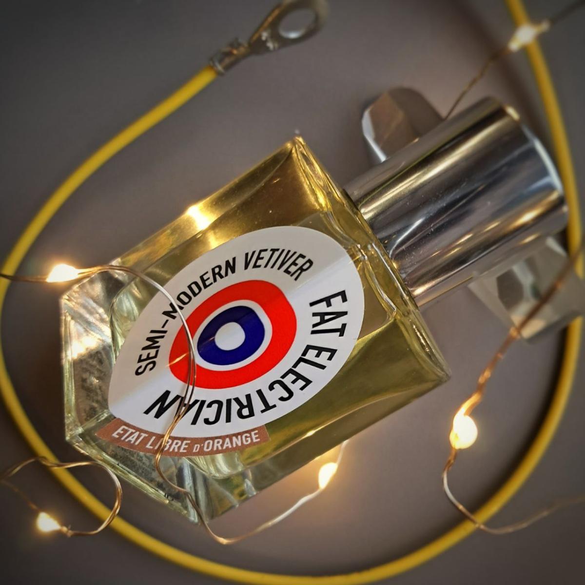 Fat Electrician Semi-Modern Vetiver Etat Libre d'Orange cologne - a ...