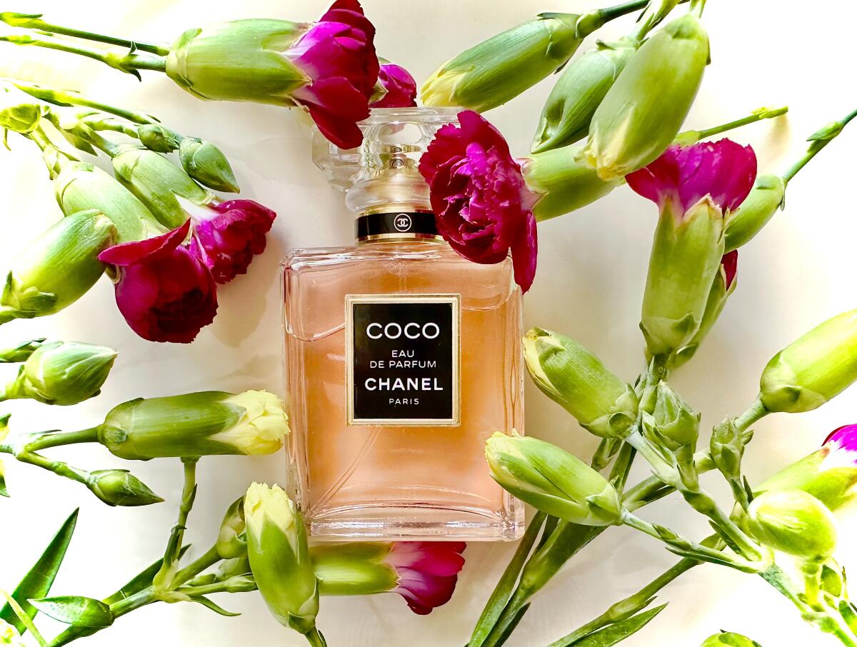 Coco Eau de Parfum Chanel άρωμα - ένα άρωμα για γυναίκες 1984