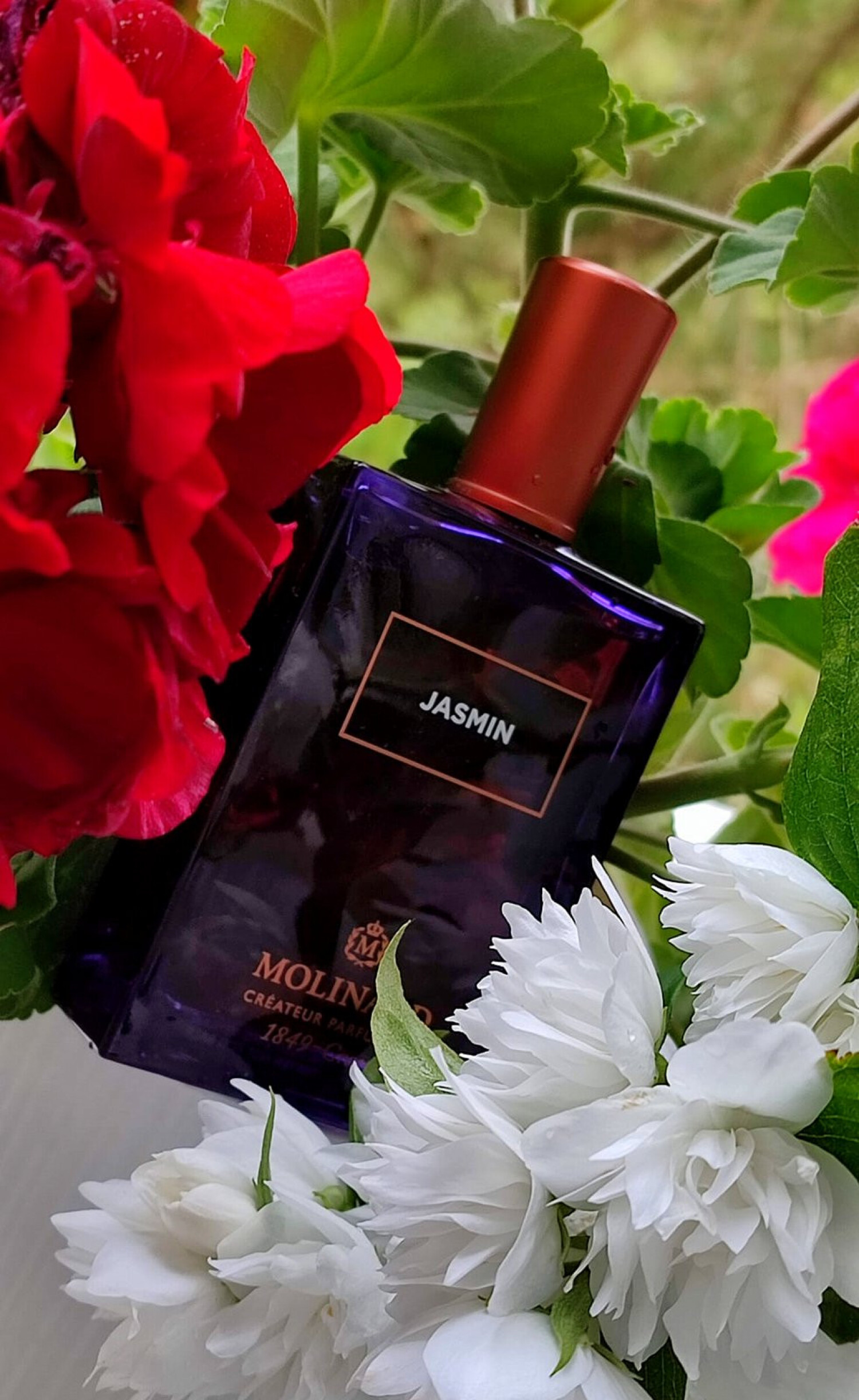 Jasmin Eau de Parfum Molinard perfume - a fragrance for women 2015