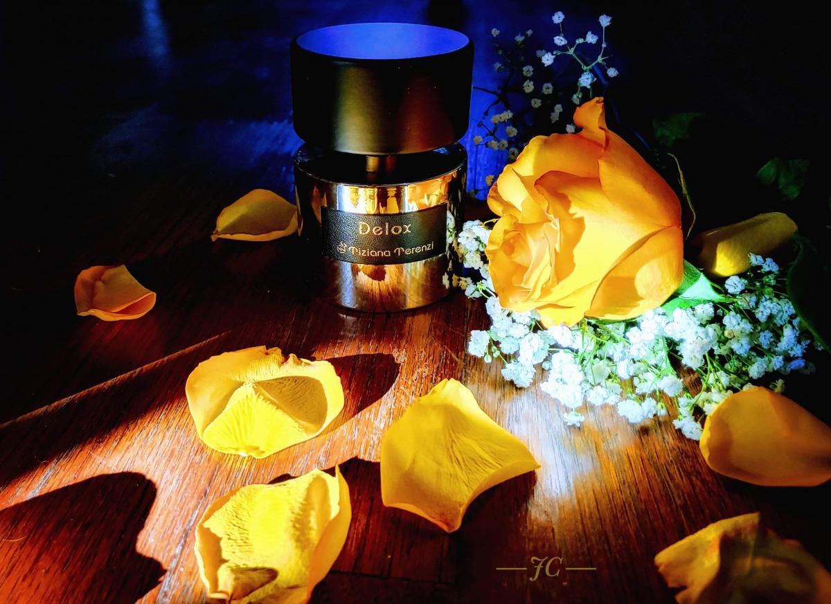 Delox Tiziana Terenzi perfume - a fragrance for women and men 2017