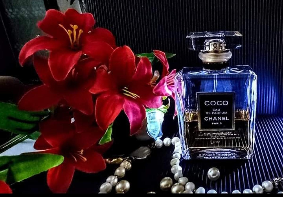 Coco Eau de Parfum Chanel perfume - a fragrance for women 1984
