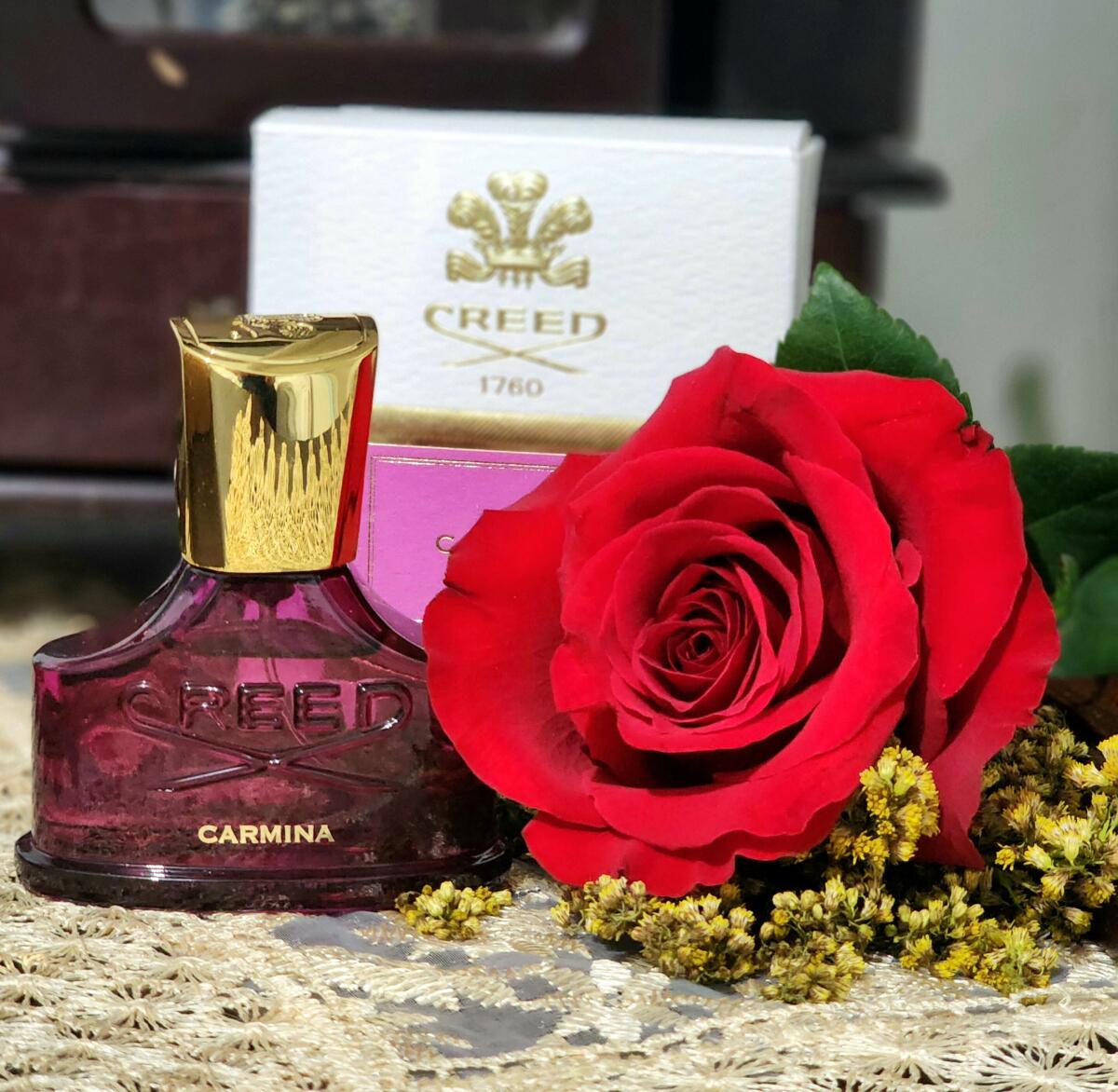 Carmina Creed perfume - a fragrância Feminino 2023