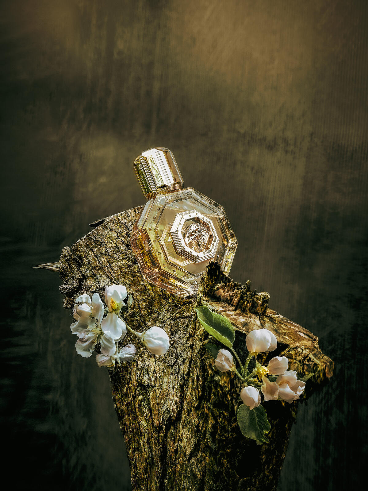 Royal Eagle Gold Stefano Ricci cologne - a fragrance for men