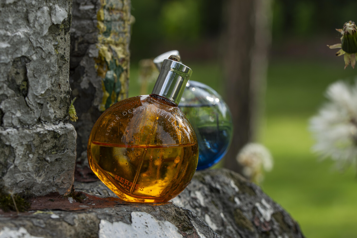 L'Ombre Des Merveilles Hermès perfume - a fragrance for women and men 2020