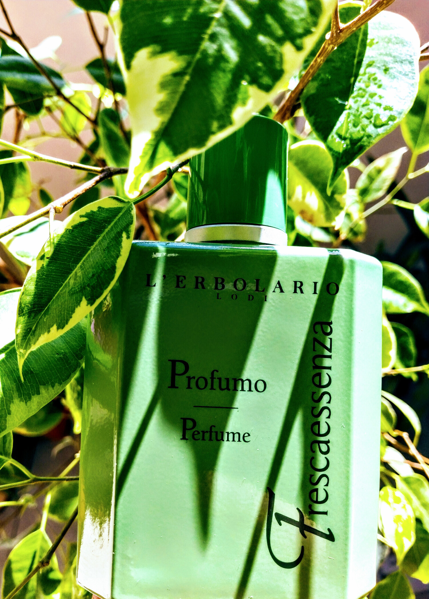 Frescaessenza L'Erbolario fragancia - una fragancia para Hombres y ...