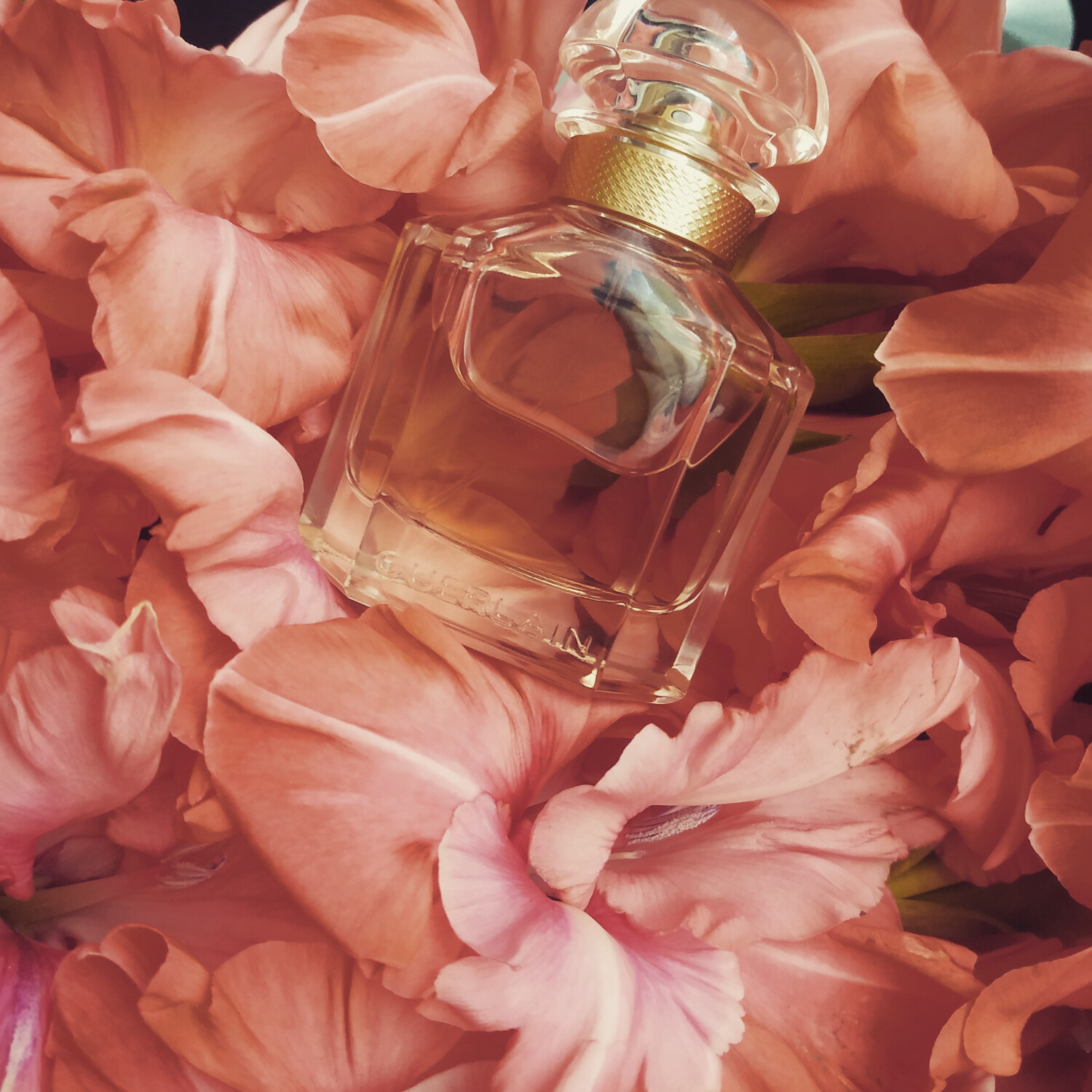 Mon Guerlain Guerlain parfum - un parfum pour femme 2017