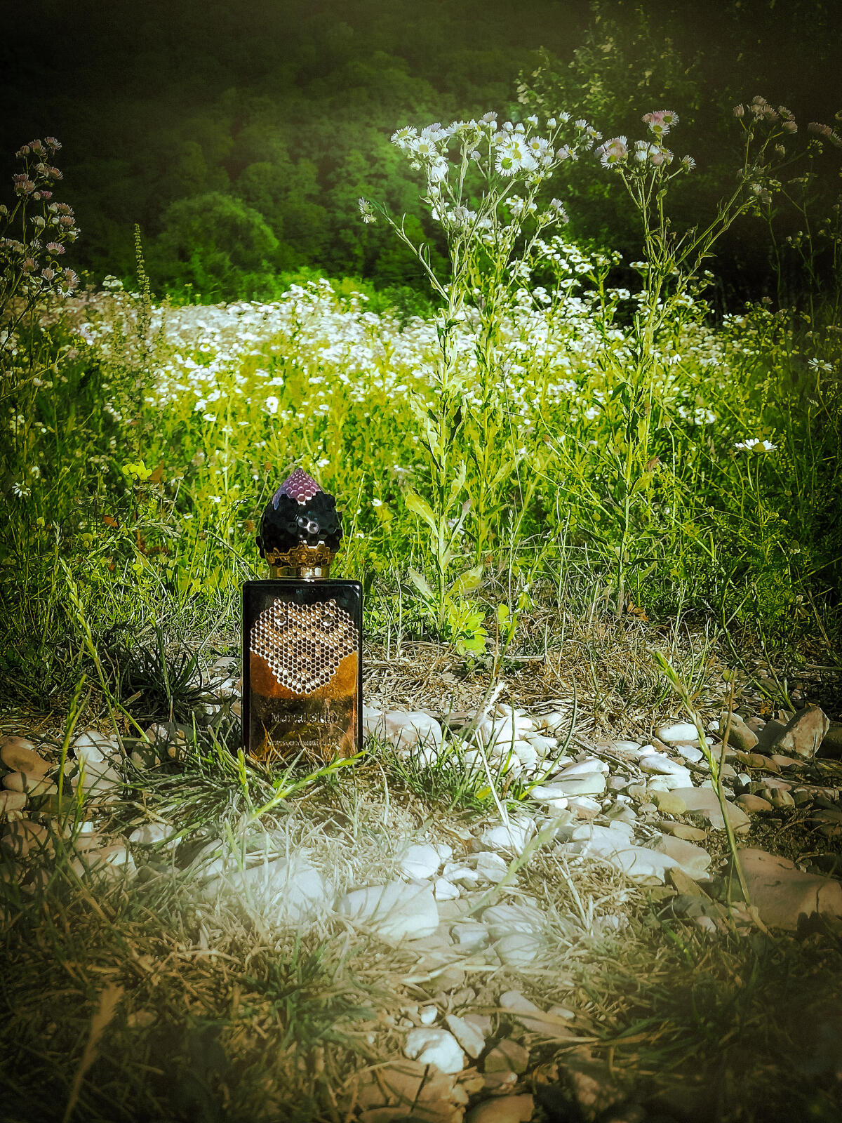 Mortal Skin Stéphane Humbert Lucas 777 perfume - a fragrance for women ...