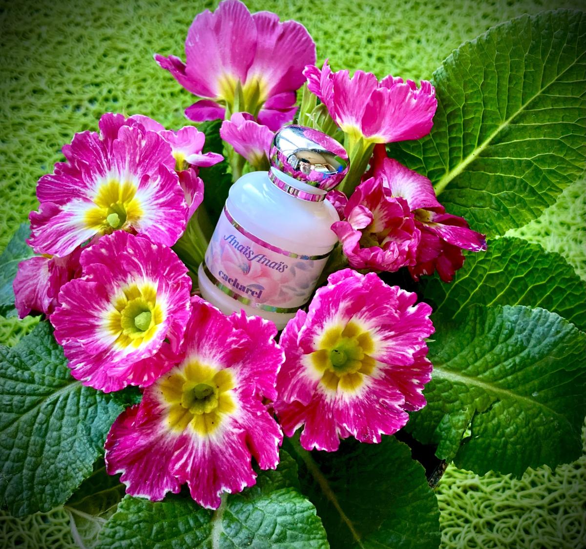 Anais Anais Cacharel perfume - a fragrance for women 1978