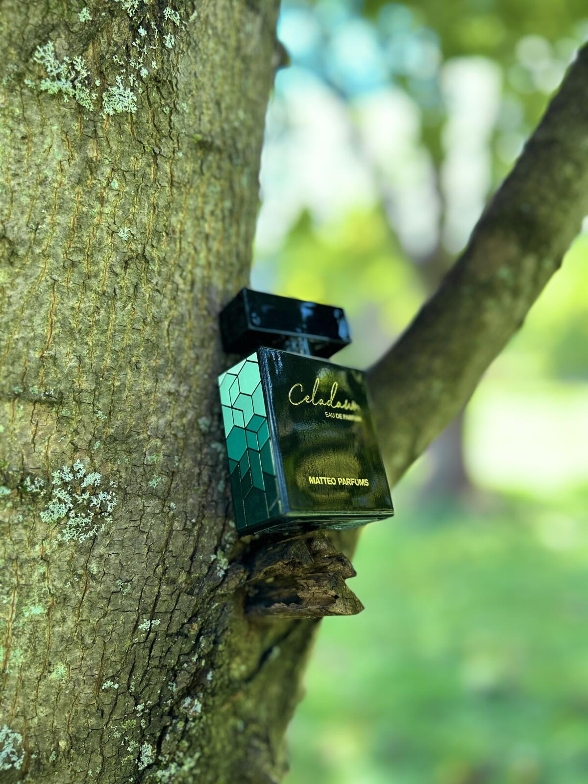 Celadawn Matteo Parfums perfume - a fragrance for women and men 2019