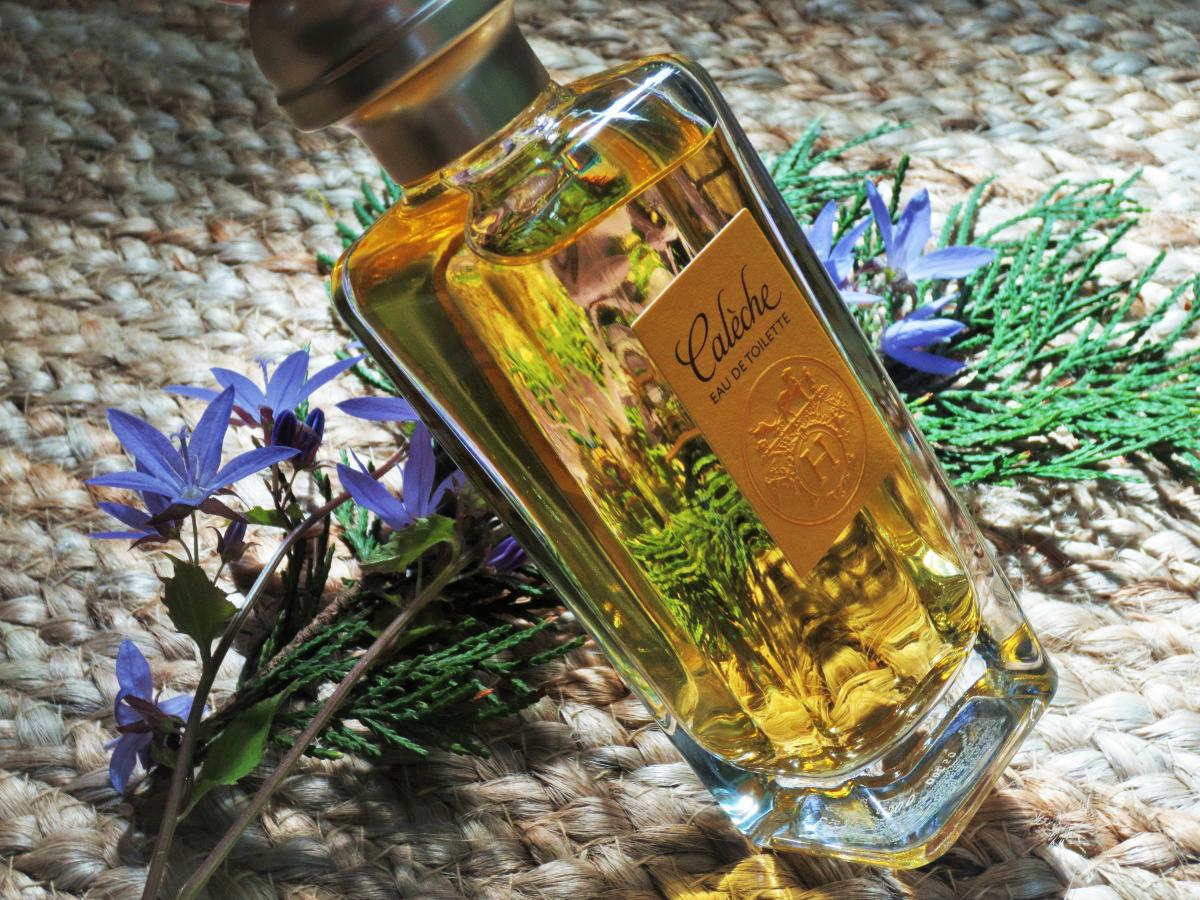 Caleche Hermès perfume - a fragrance for women 1961