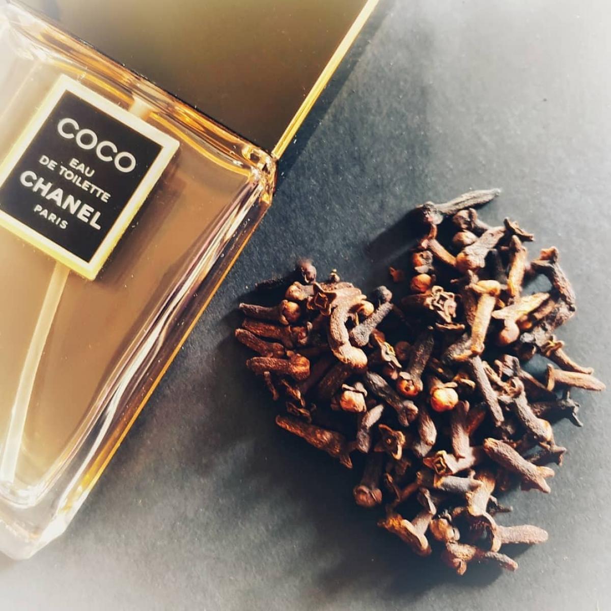 Coco Eau de Toilette Chanel perfume - a fragrance for women