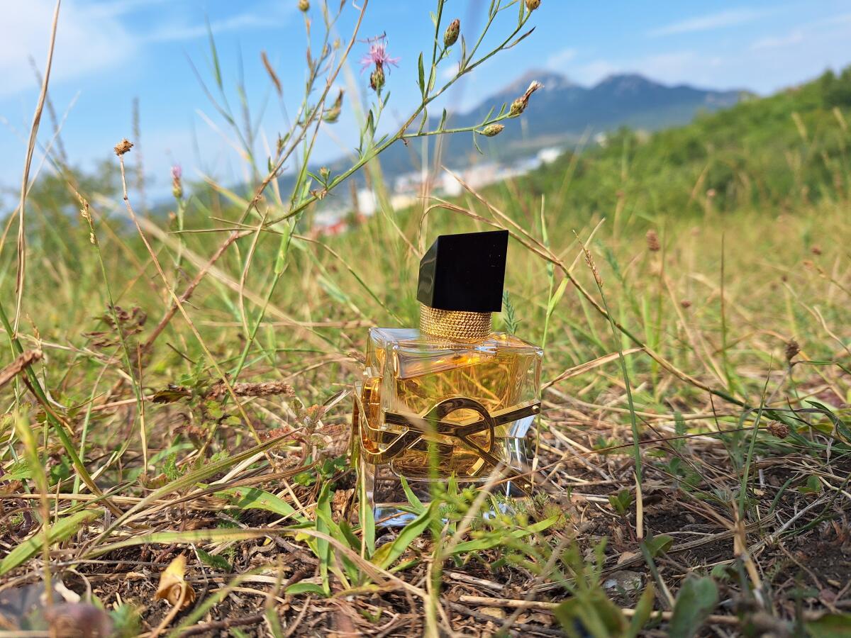 Libre Yves Saint Laurent аромат - аромат для жінок 2019