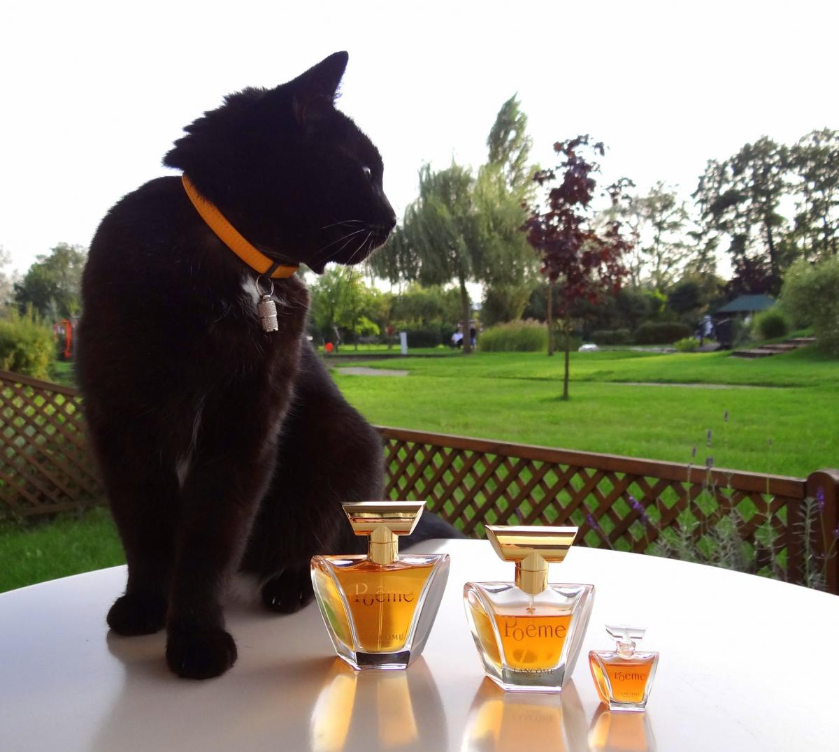 Poeme Lancome perfume - a fragrance for women 1995