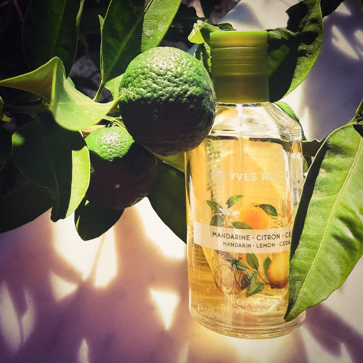 Mandarine Citron Cèdre Yves Rocher perfume - a fragrance for women 2016