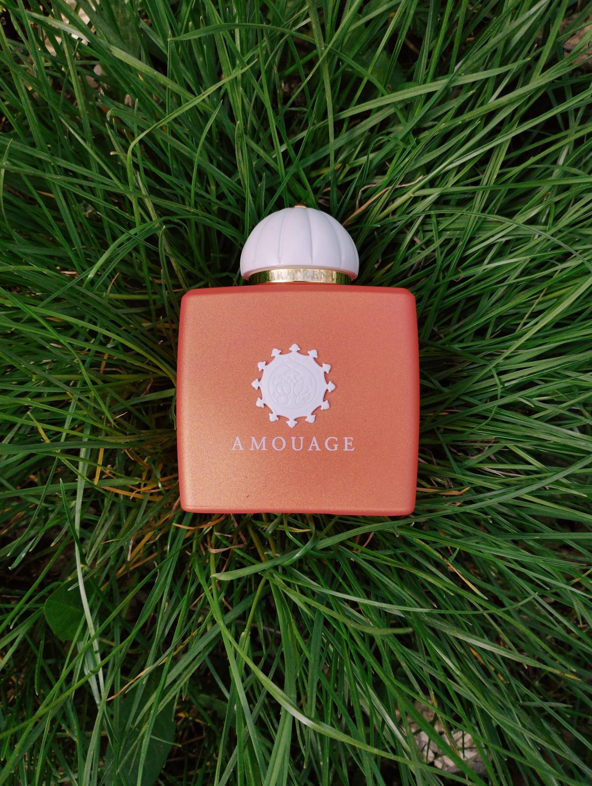 Bracken Woman Amouage perfume - a fragrance for women 2016