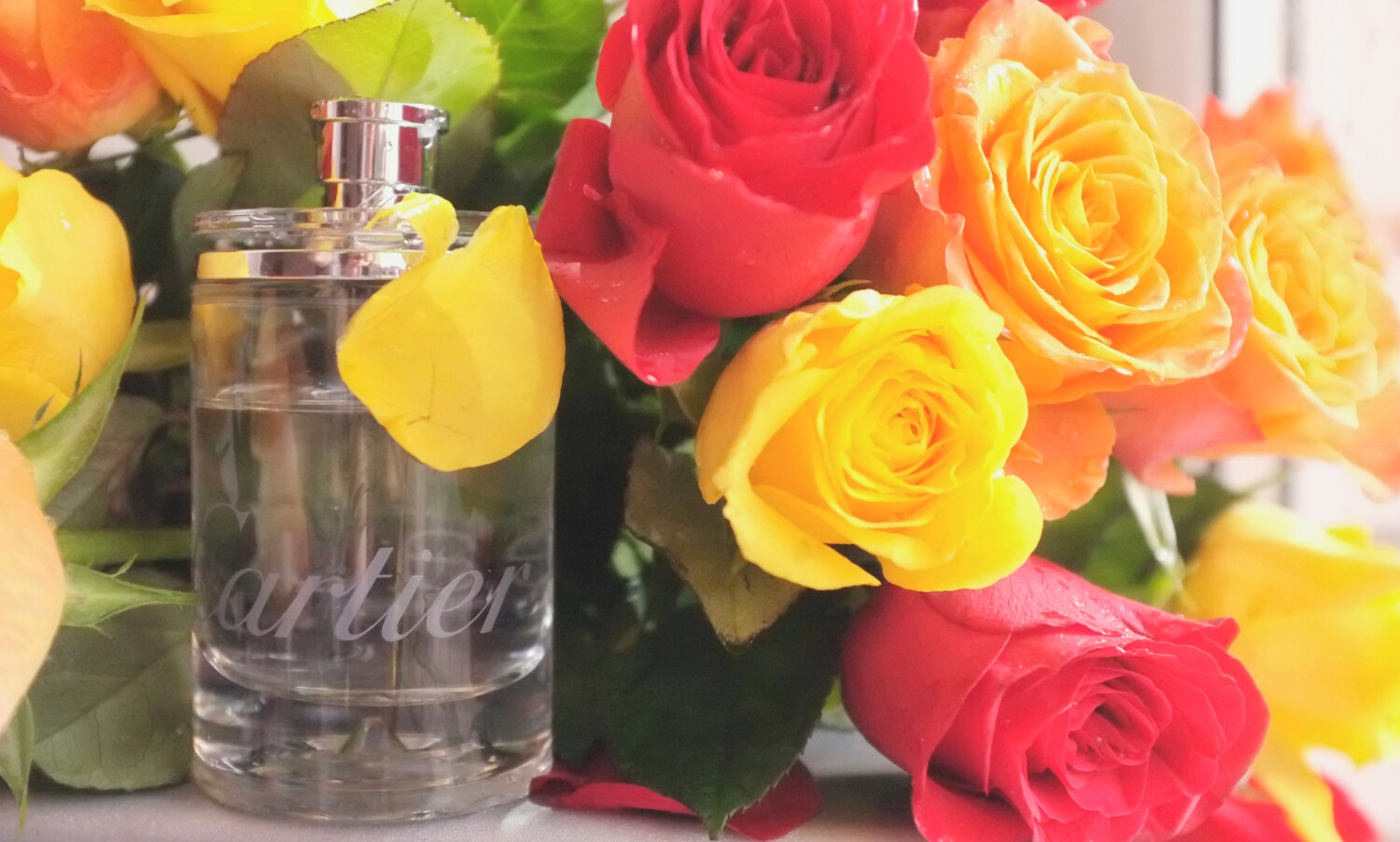 Eau de Cartier Cartier perfume - a fragrance for women and men 2001