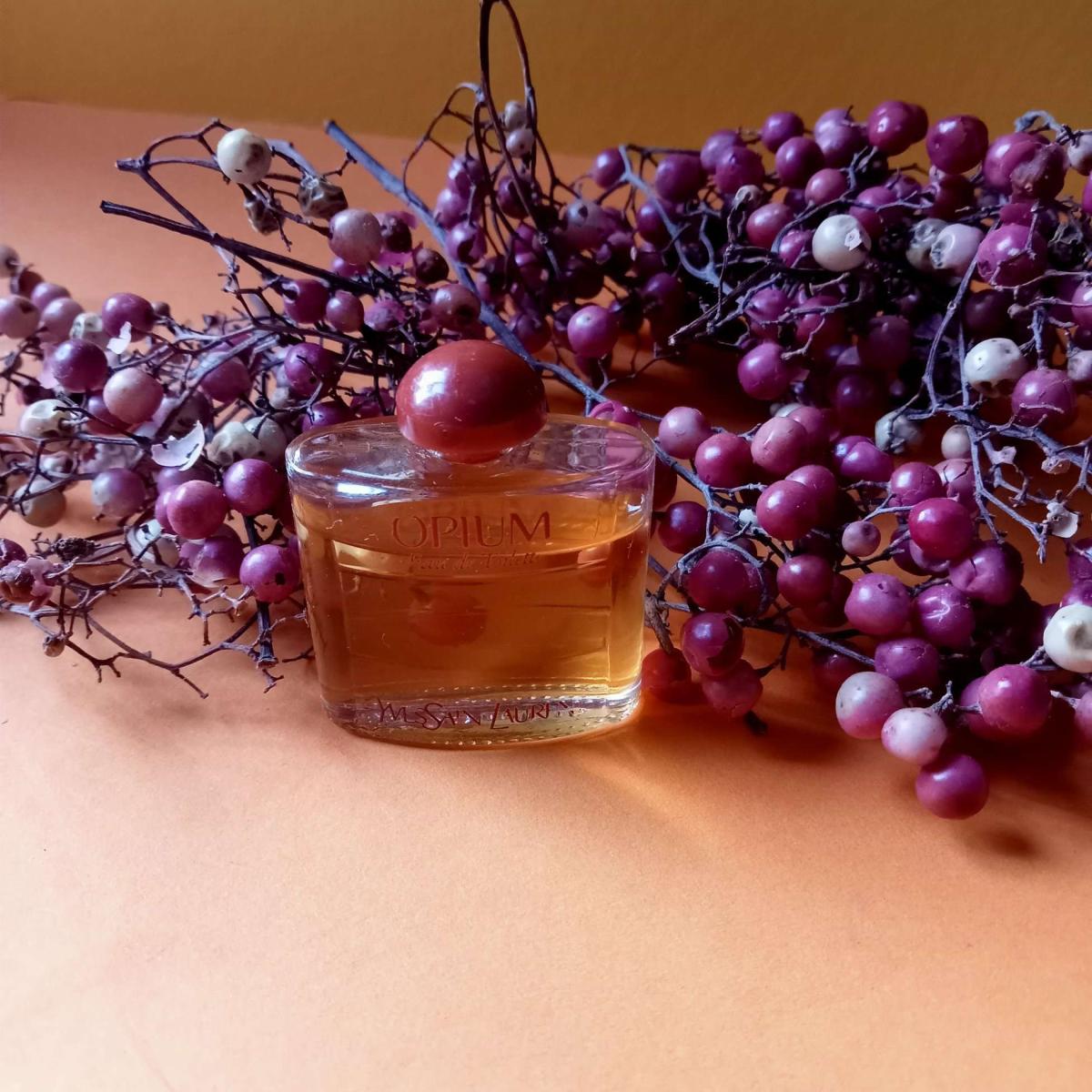 Opium Eau de Toilette 2009 Yves Saint Laurent perfume - a fragrance for ...