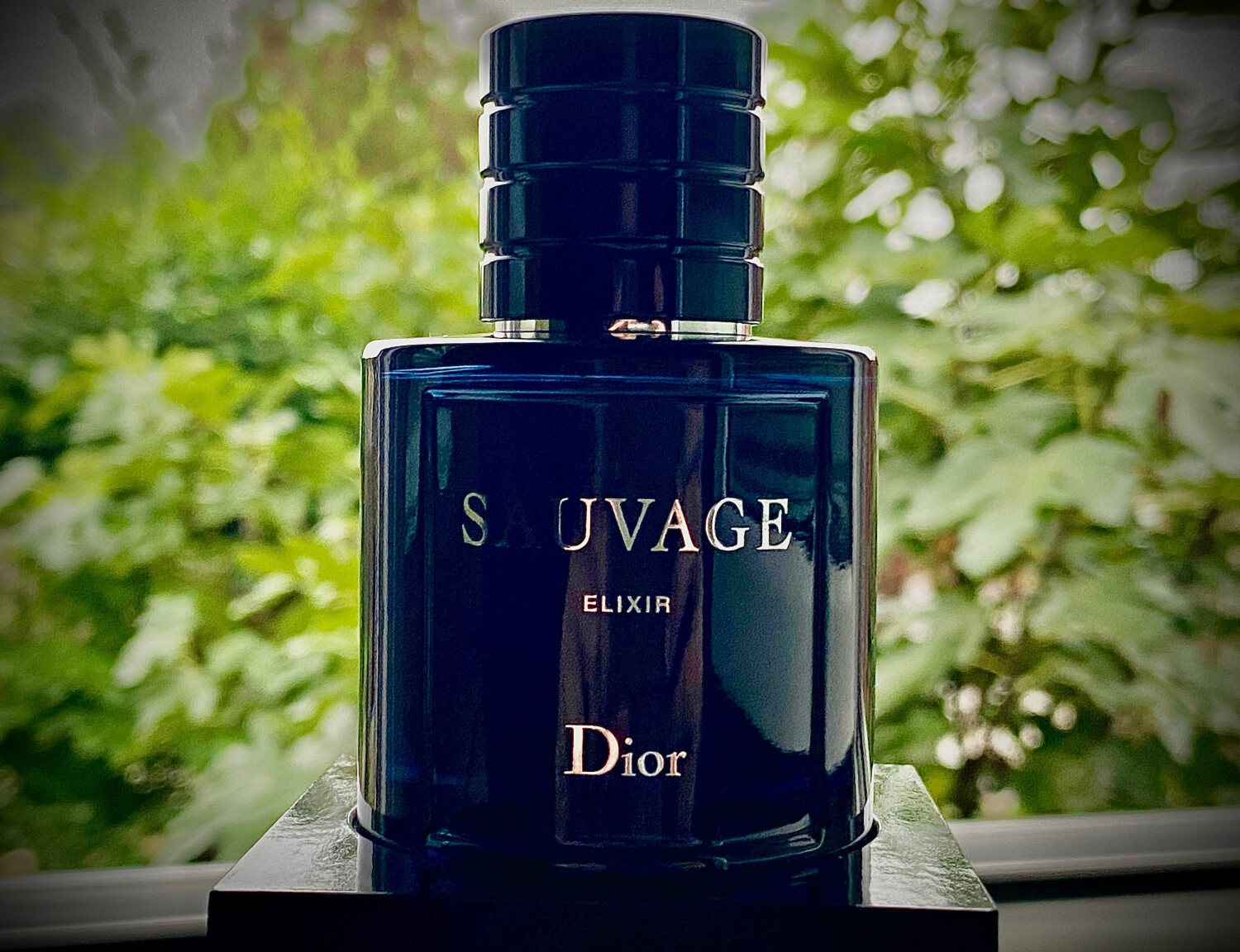 Sauvage Elixir Dior cologne - a new fragrance for men 2021