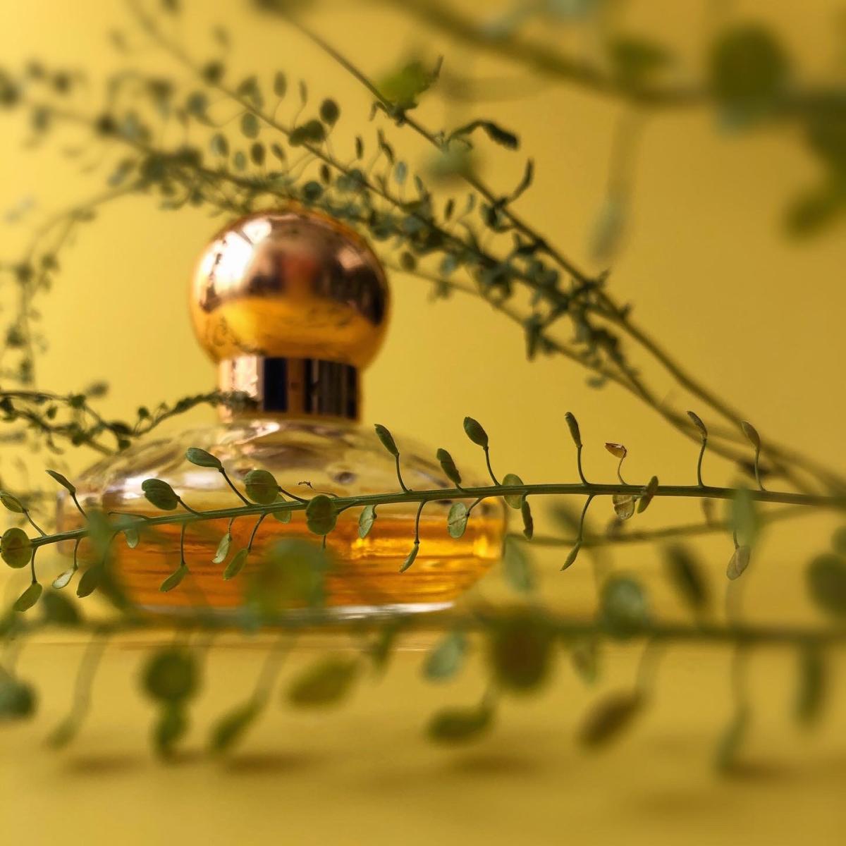 Casmir Chopard perfume - a fragrance for women 1992