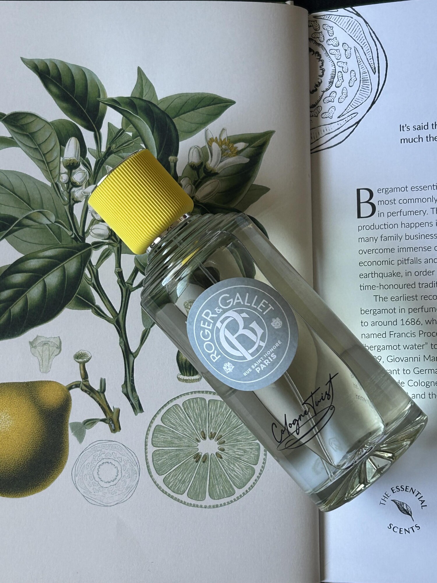 Cologne Twist Roger & Gallet perfume - a new fragrance for women and ...