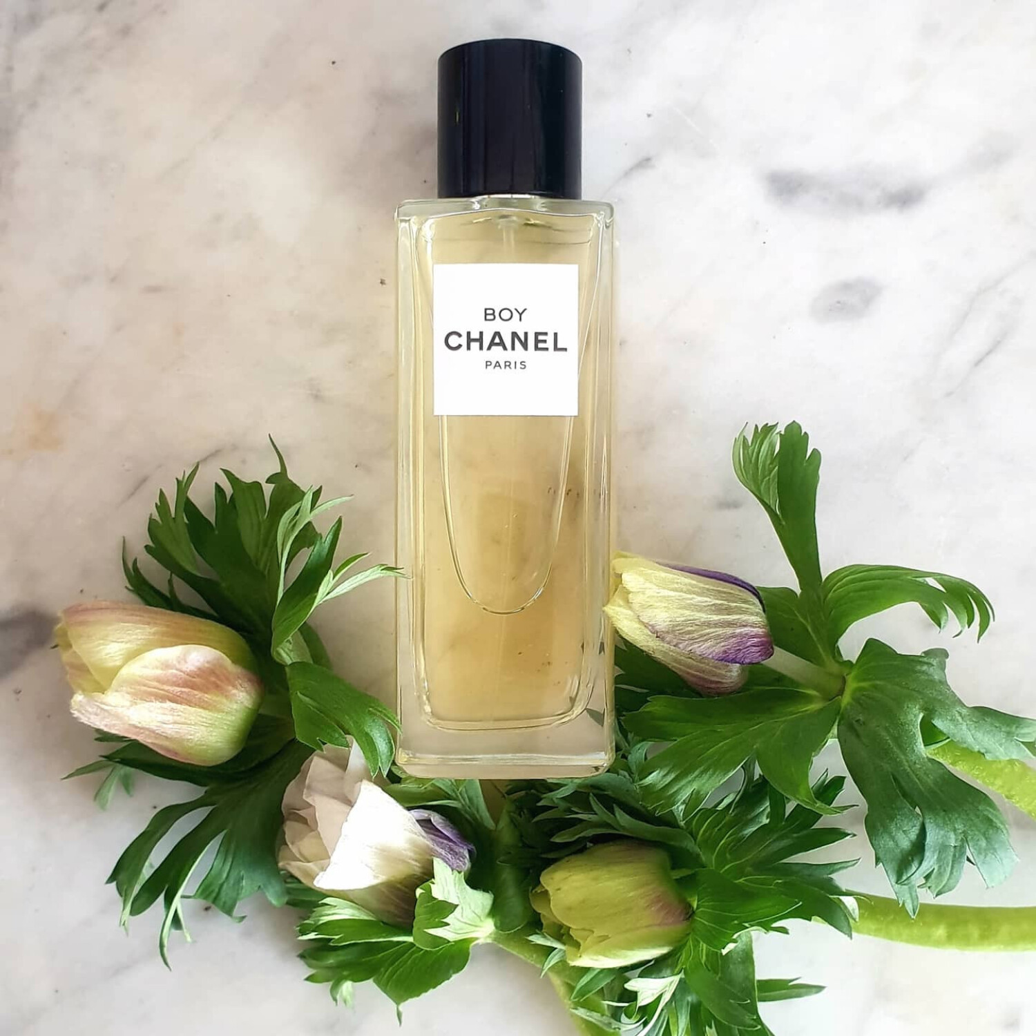 Boy Eau de Parfum Chanel perfume - a fragrance for women and men 2016
