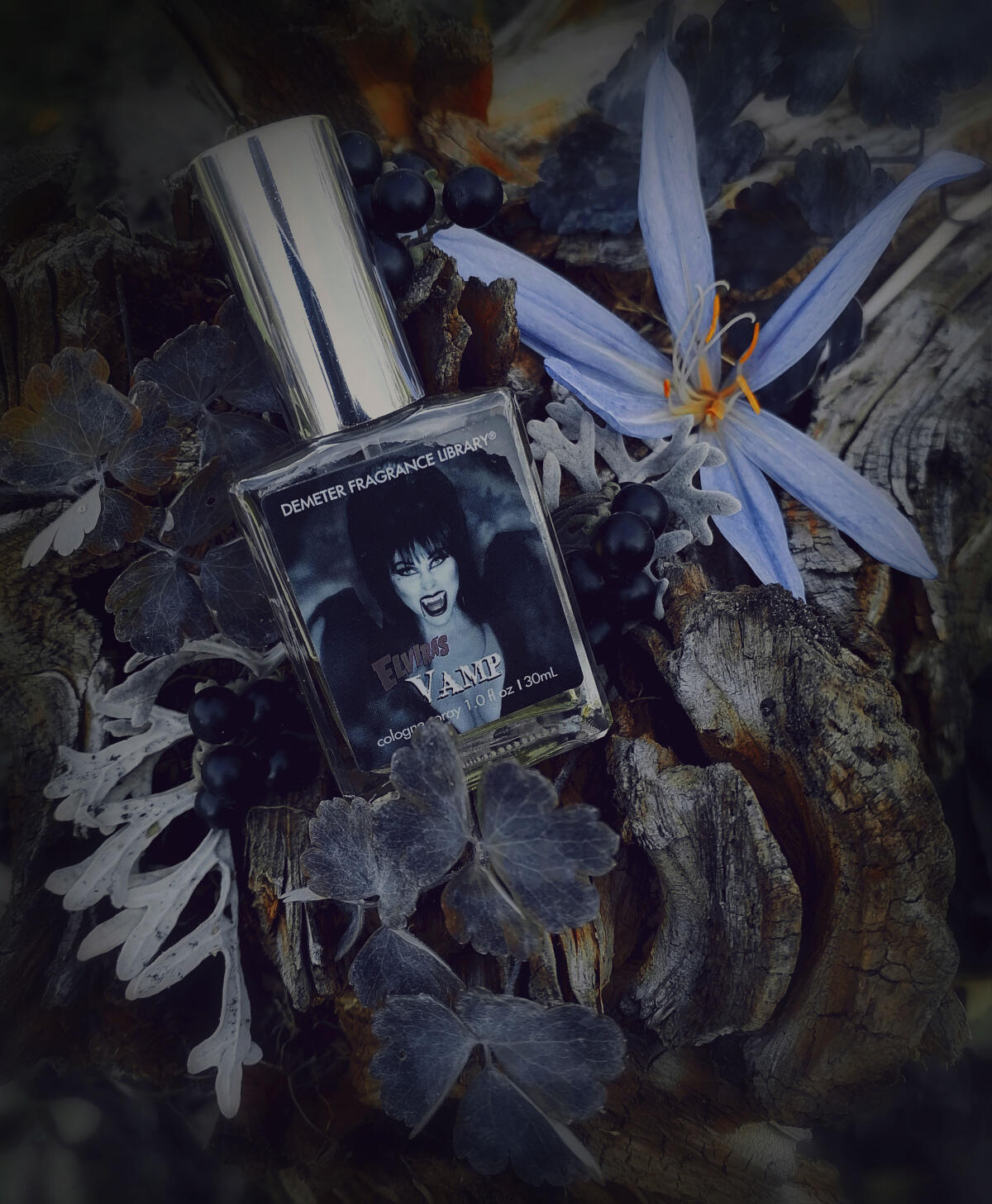 Elvira's Vamp Demeter Fragrance perfume - a fragrance for women and men