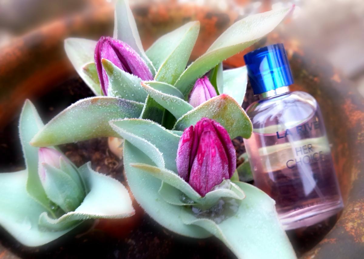 Her Choice La Rive perfume - a fragrance for women 2022