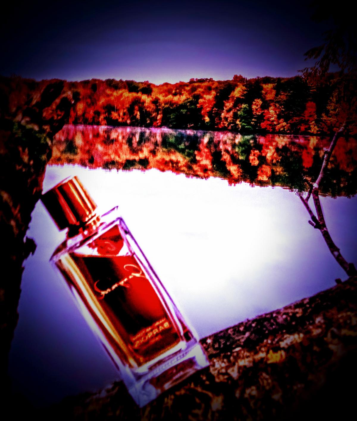 Ganymede Marc-Antoine Barrois perfume - a fragrance for women and men 2019