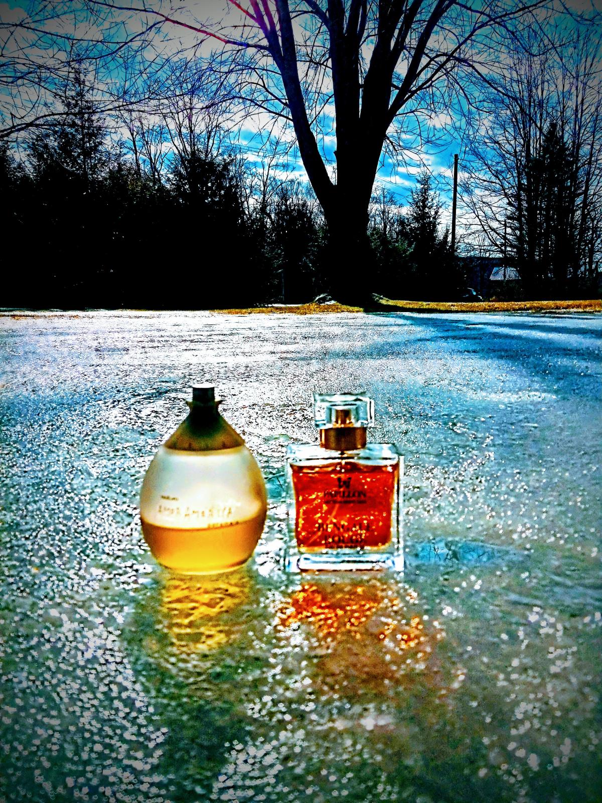Bengale Rouge Papillon Artisan Perfumes perfume - a fragrance for women ...