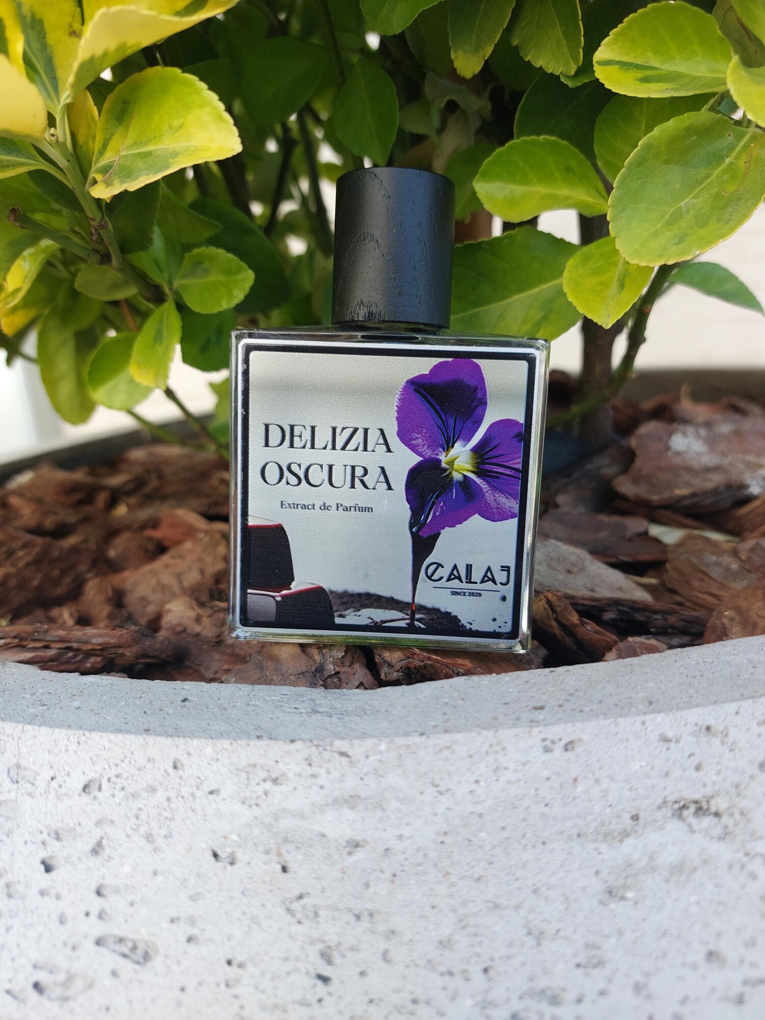 Delizia Oscura Calaj perfume - a fragrance for women and men 2023