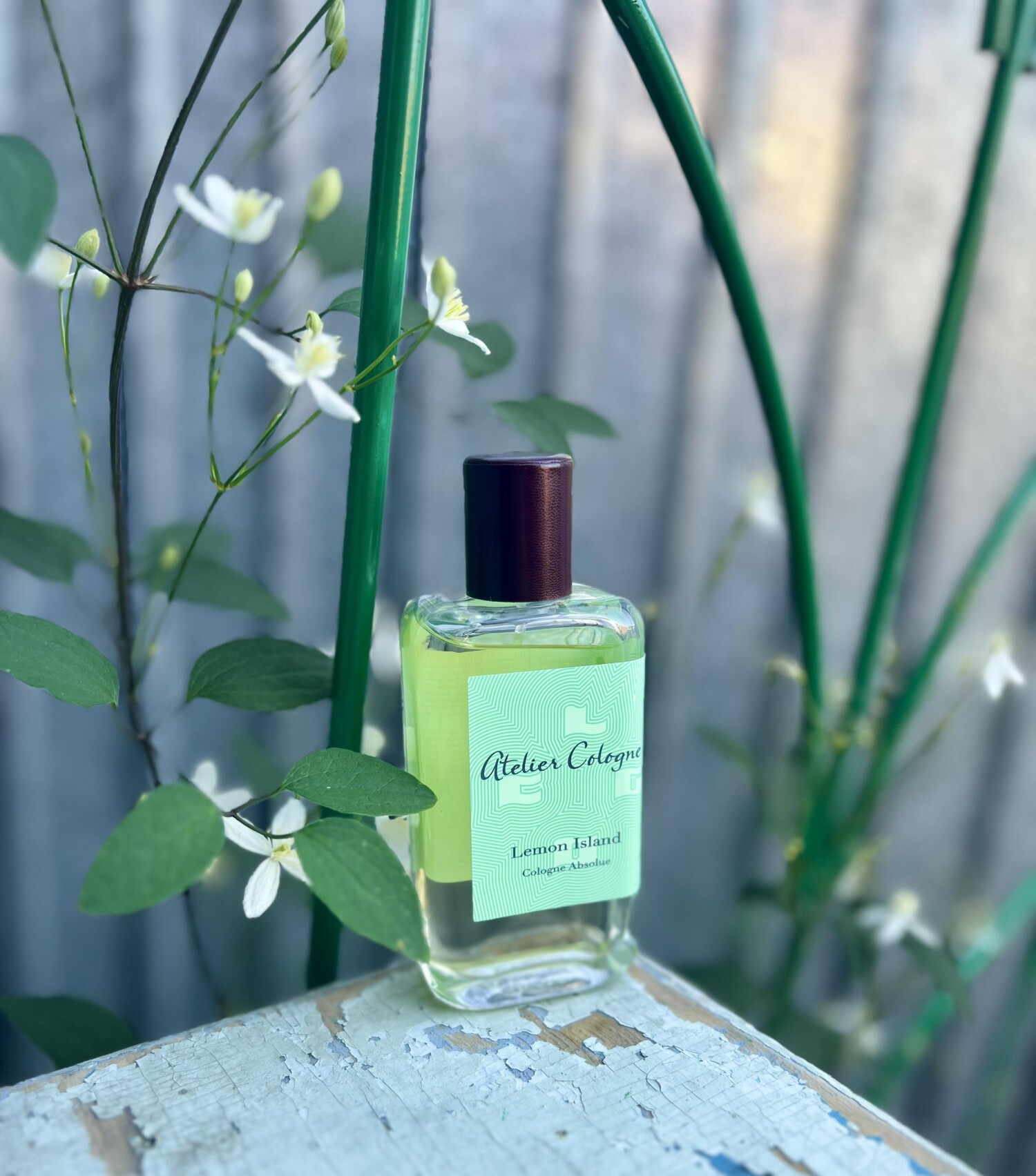 Lemon Island Atelier Cologne аромат — аромат для мужчин и женщин 2020