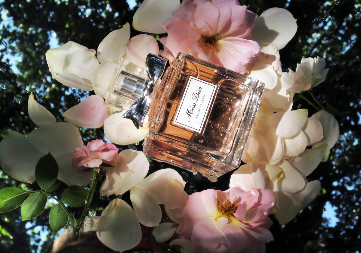 Miss Dior Eau de Toilette 2019 Dior perfume - a fragrance for women 2019