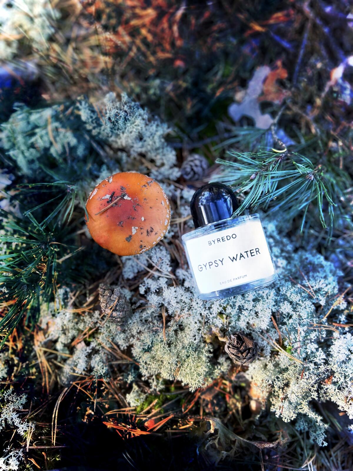 Gypsy Water Byredo perfume - a fragrance for women and men 2008