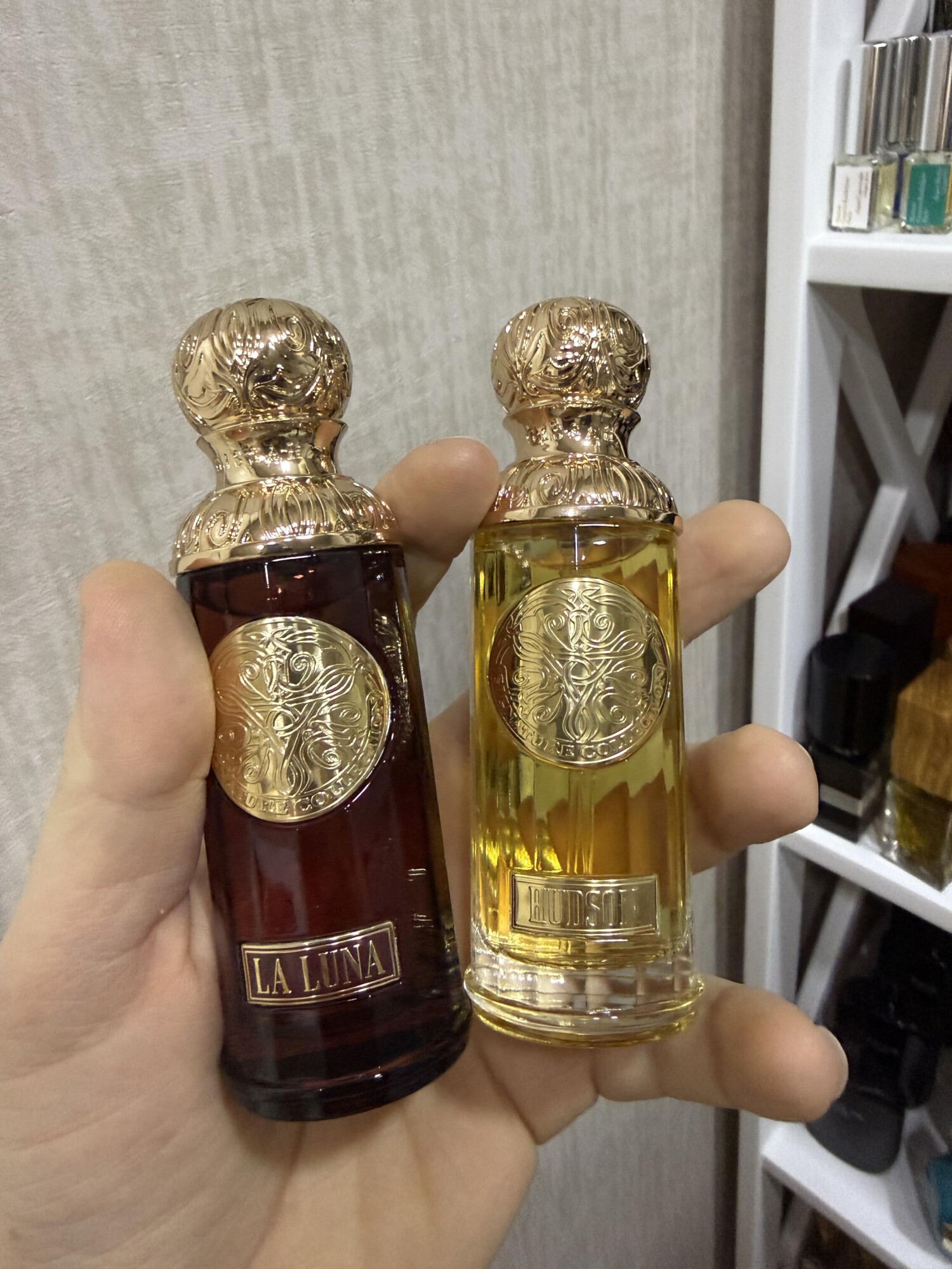 La Luna Gissah perfume - a fragrance for women and men 2023