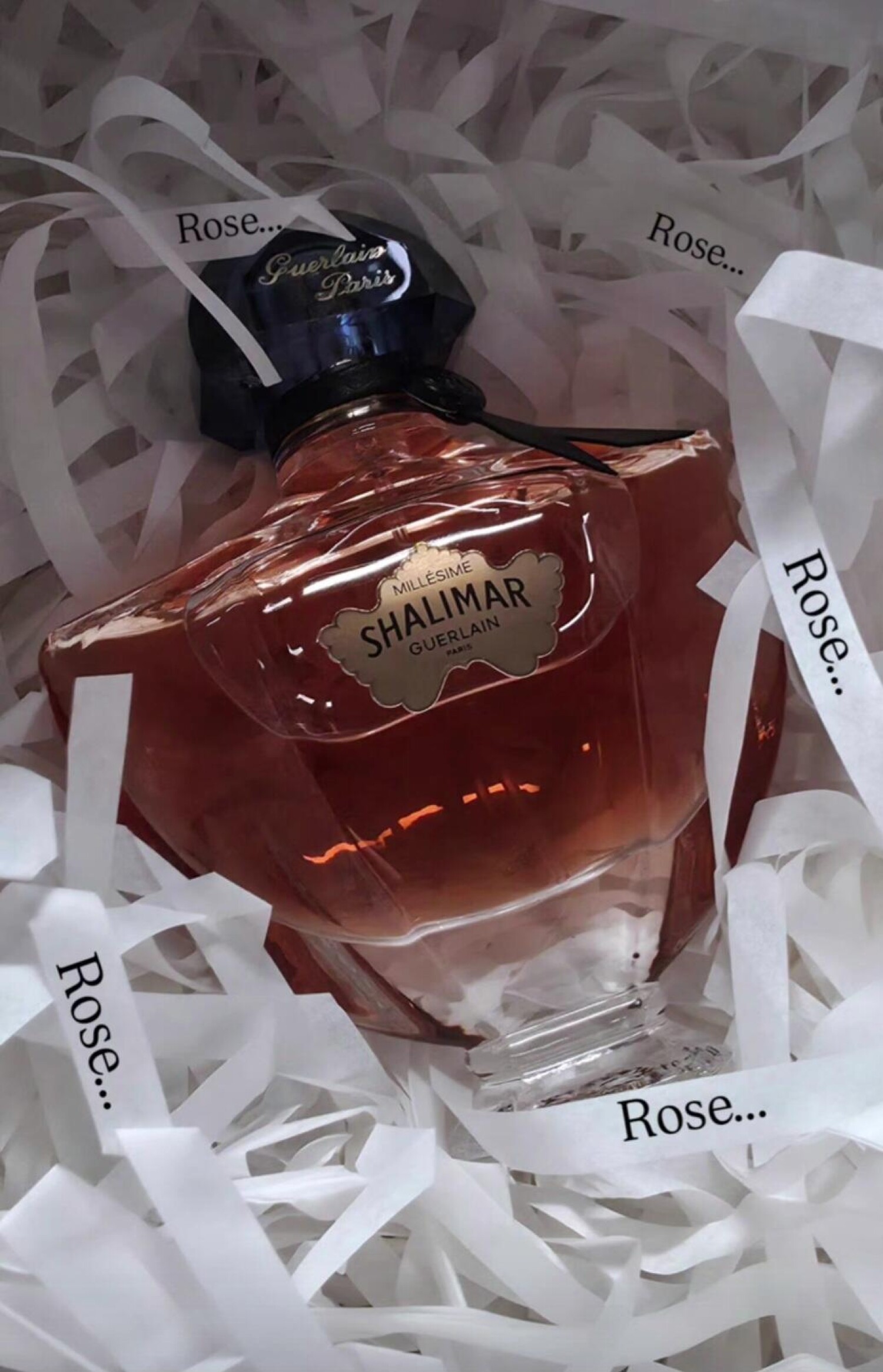 Shalimar Millesime Rose Guerlain perfume - a new fragrance for women 2026