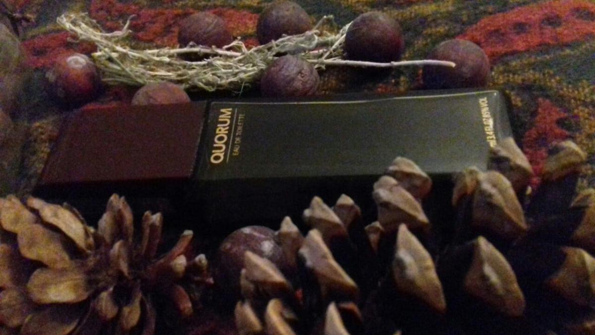 Quorum Antonio Puig cologne - a fragrance for men 1981