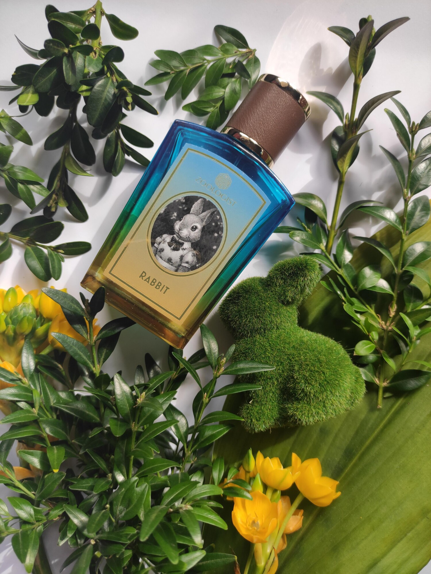 Rabbit Zoologist Perfumes perfume - a fragrance for women and men 2024