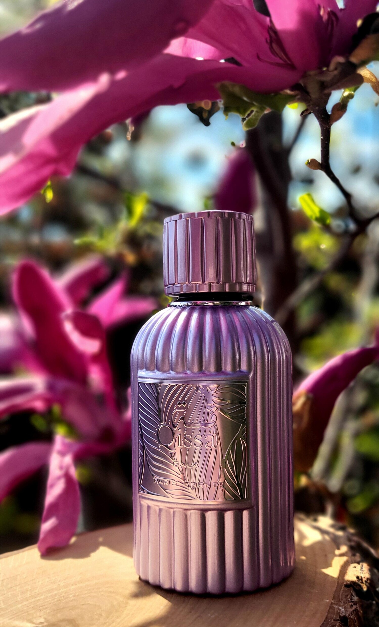 Qissa Gala PARIS CORNER perfume - a new fragrance for women 2025
