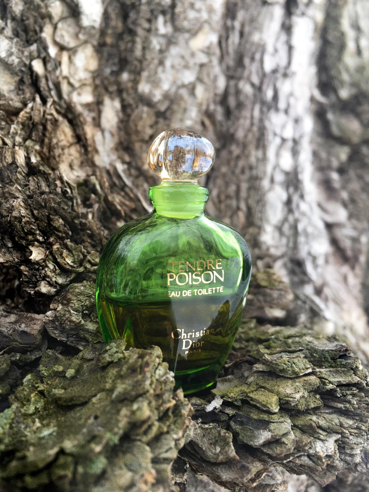 Tendre Poison Dior perfume - a fragrance for women 1994