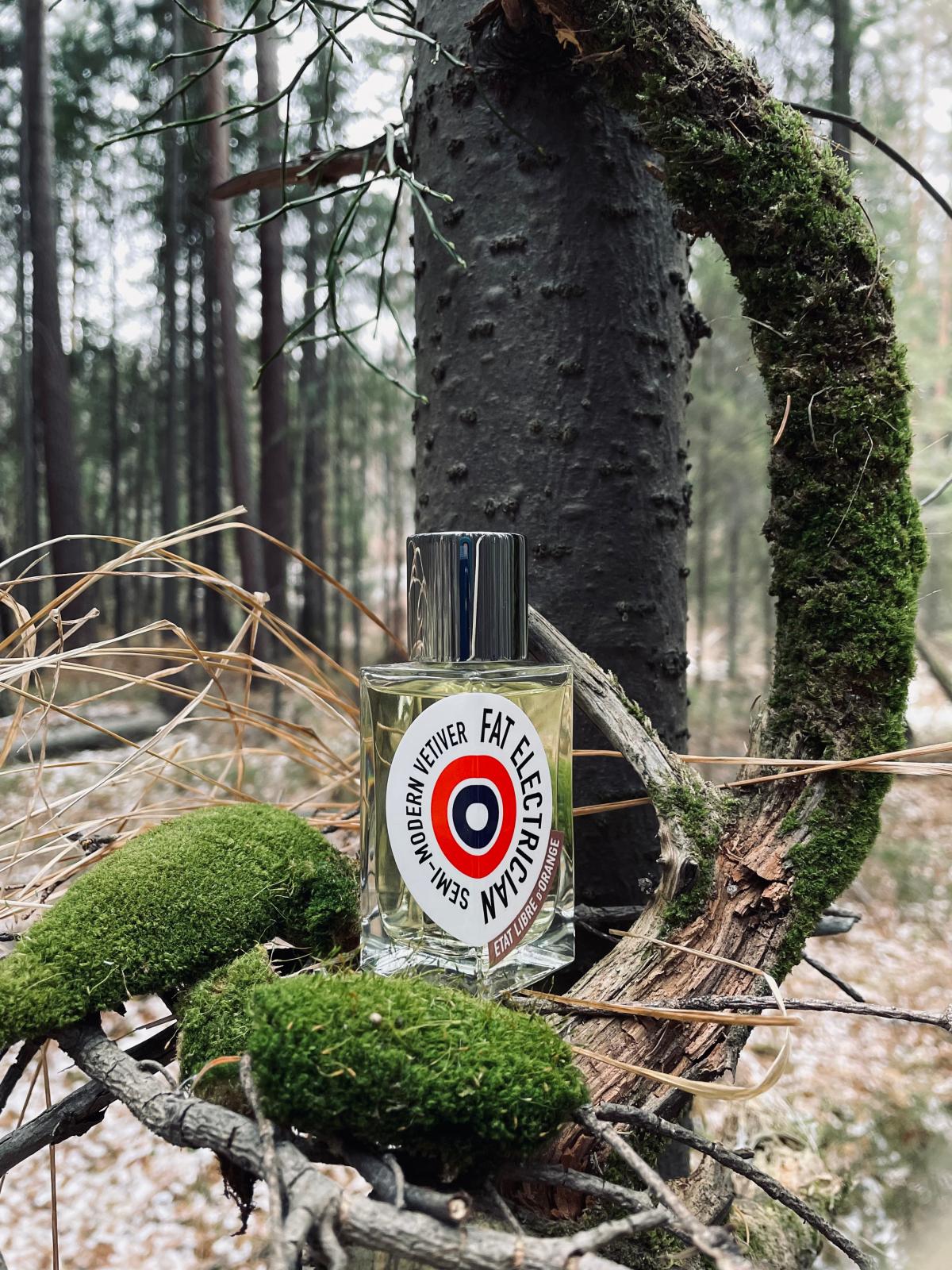 Fat Electrician Semi-Modern Vetiver Etat Libre d'Orange cologne - a ...