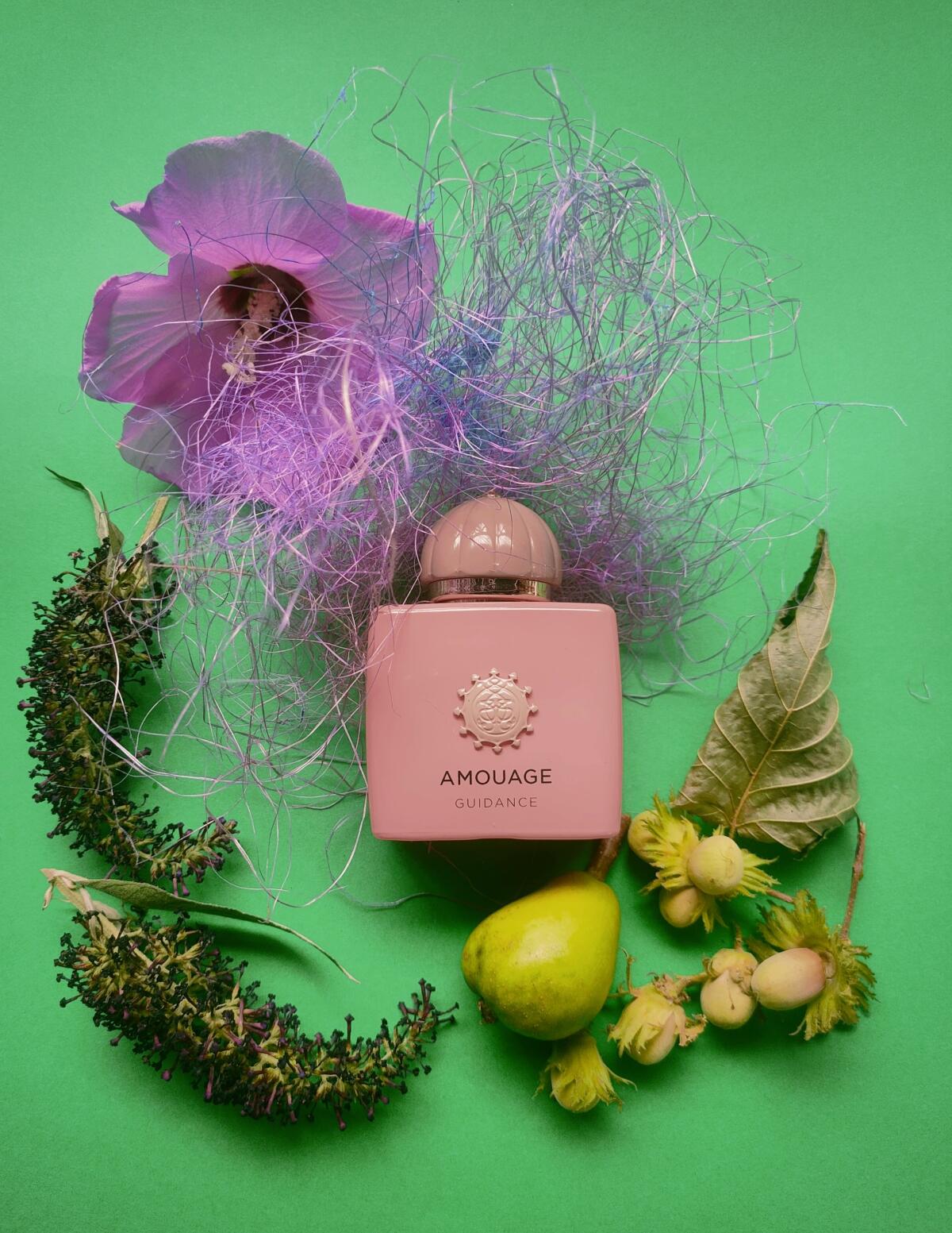 Guidance Amouage perfume - a new fragrance for women and men 2023