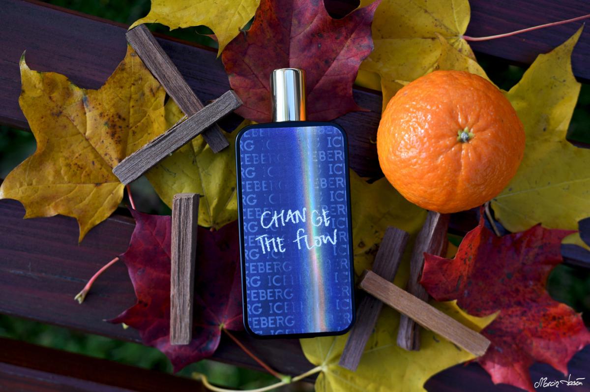 Change The Flow Iceberg cologne - a fragrance for men 2022