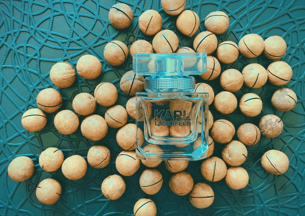 Karl Lagerfeld for Her Karl Lagerfeld parfem - parfem za žene 2014