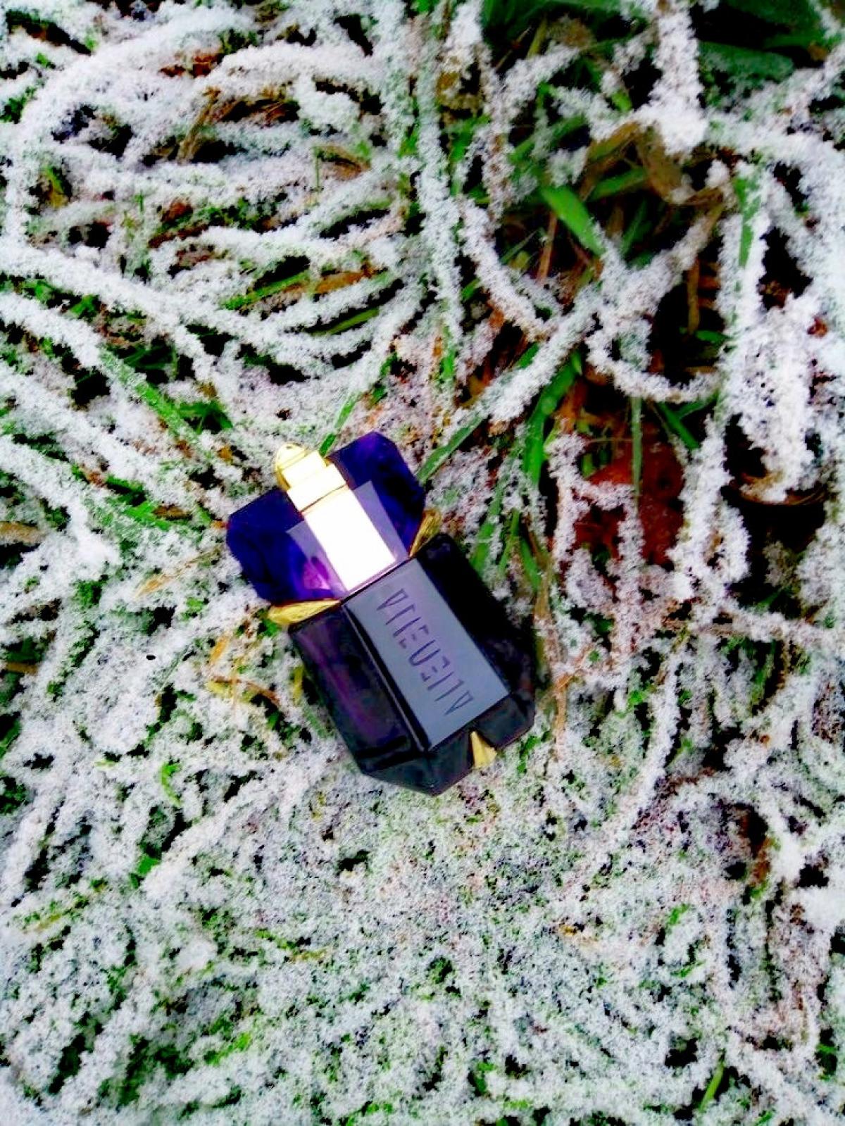 Alien Mugler fragancia - una fragancia para Mujeres 2005