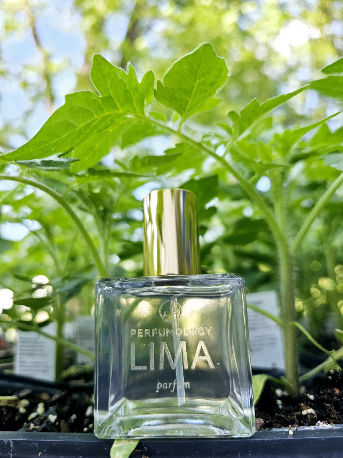 L'Ima Perfumology perfume - a fragrance for women and men 2019