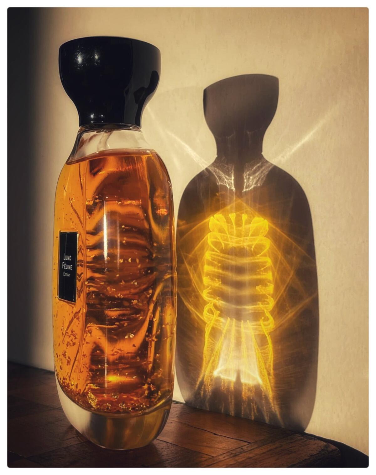 Lune Feline Extrait Atelier des Ors fragancia - una fragancia para ...