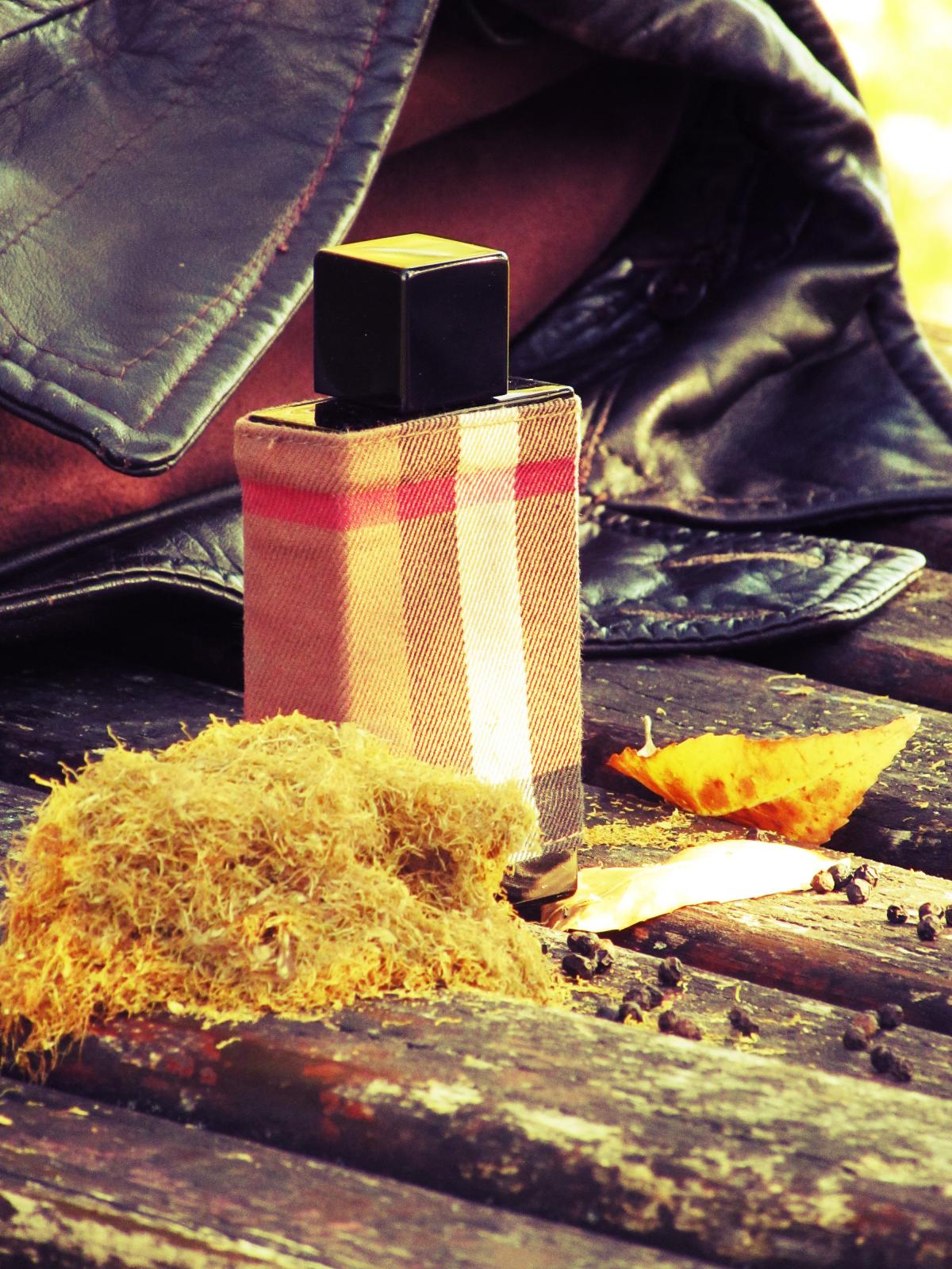 London for Men Burberry cologne - a fragrance for men 2006