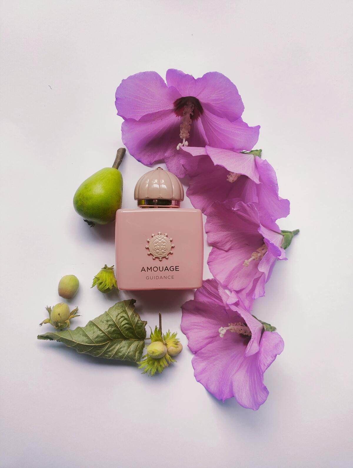 Guidance Amouage perfume - a new fragrance for women and men 2023